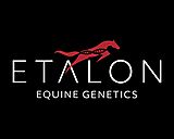 2025 Western Bloodstock NCHA Futurity Sales: CHC Livescoring